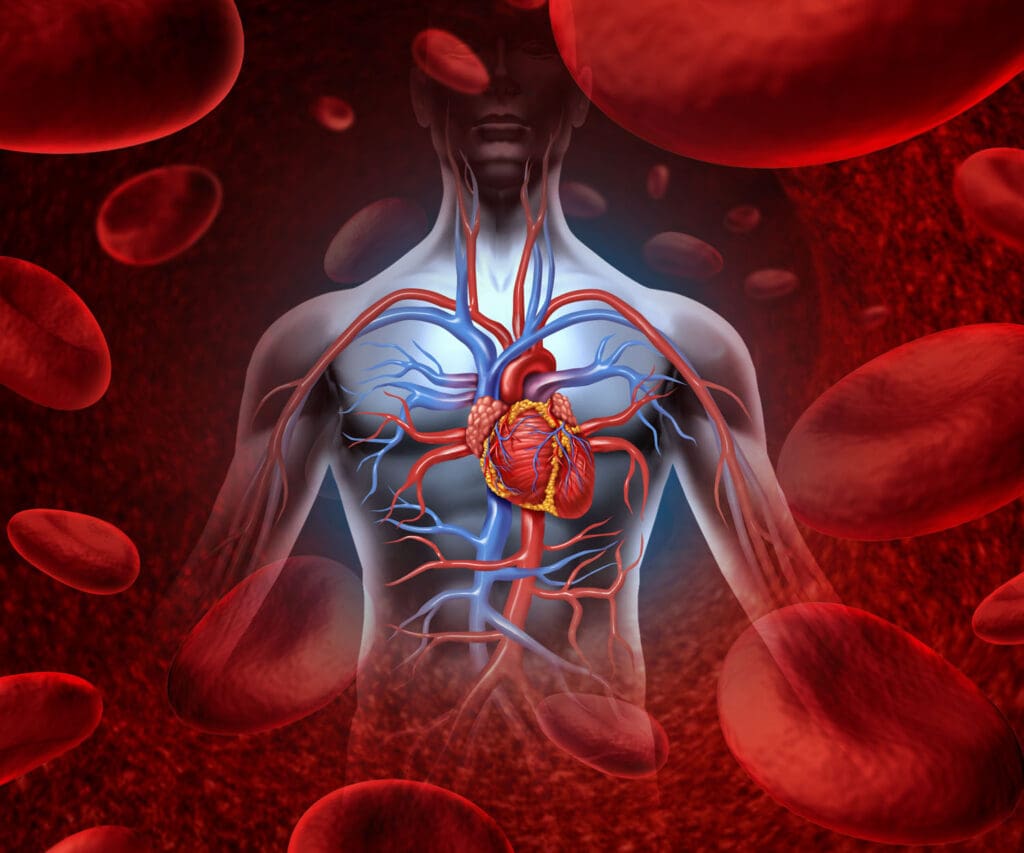 Anatomy Of A Heart Attack Clinica Medica Familiar